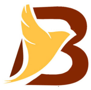 Blog - Ben Orion Consults and Counselling